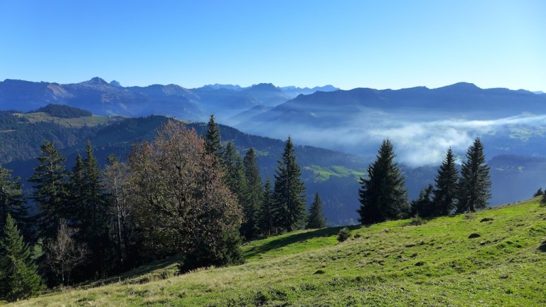 popeye | be-cause – style, travel, collecting and food blog